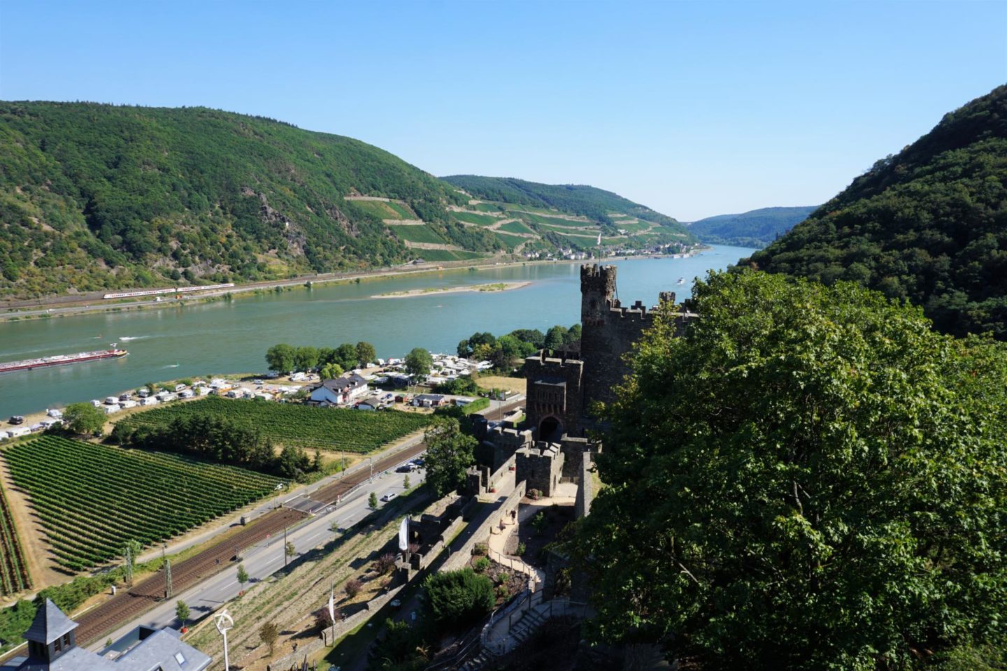 Burgen am Rhein - 8 Tipps - travelbuddyanna